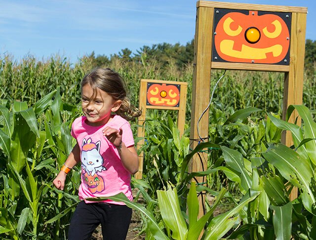 C&C Reading Farm (Formerly Billingsgate Farm) – Organic Produce and ...